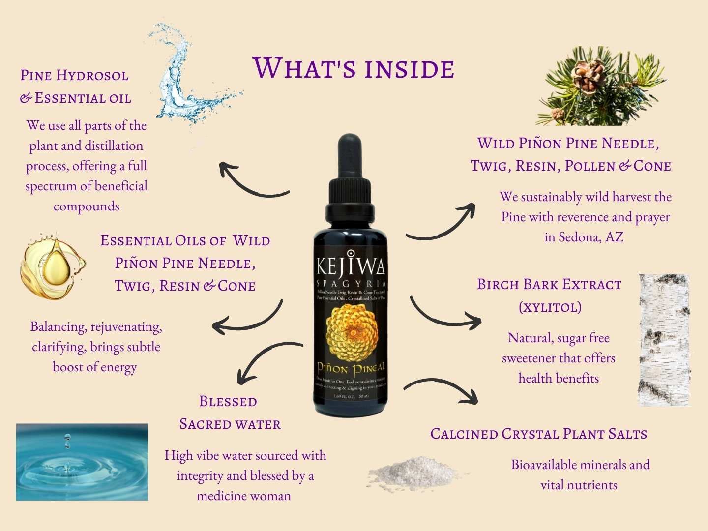 enhance intuition with pine extract