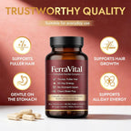 enhance iron absorption with Ferritin