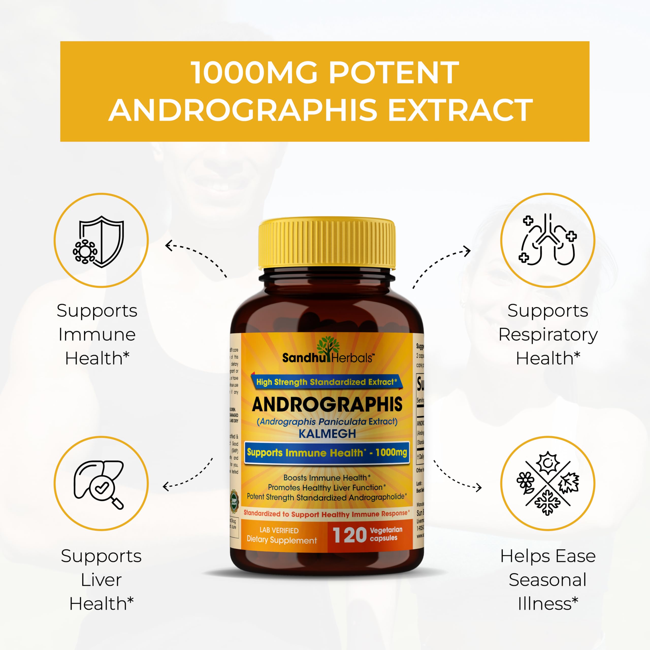 enhance liver function with andrographis