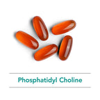 enhance liver health with choline