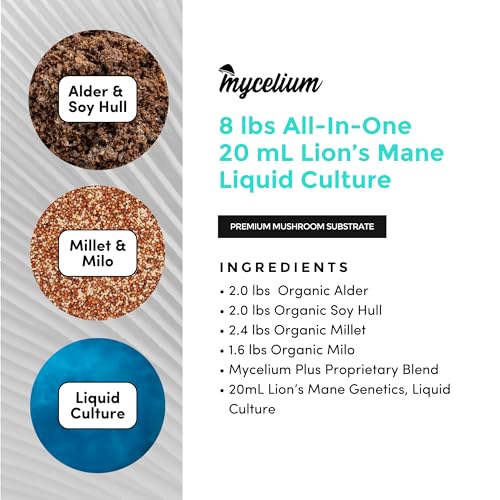 enhance meals with fresh mushrooms