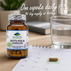 Enhance memory and focus naturally