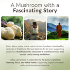 enhance memory lion's mane extract
