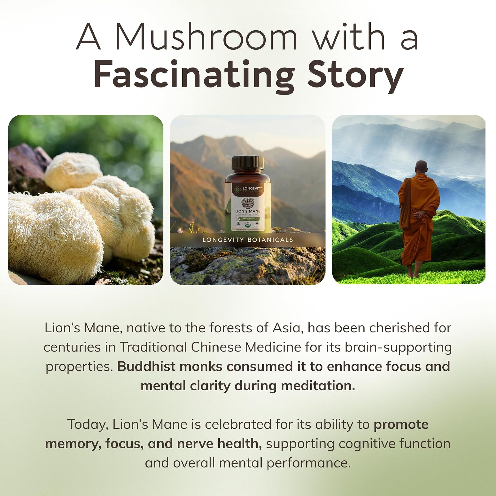 enhance memory lion's mane extract