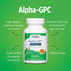 Enhance memory with Alpha GPC