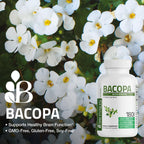 enhance memory with Bacopa Monnieri