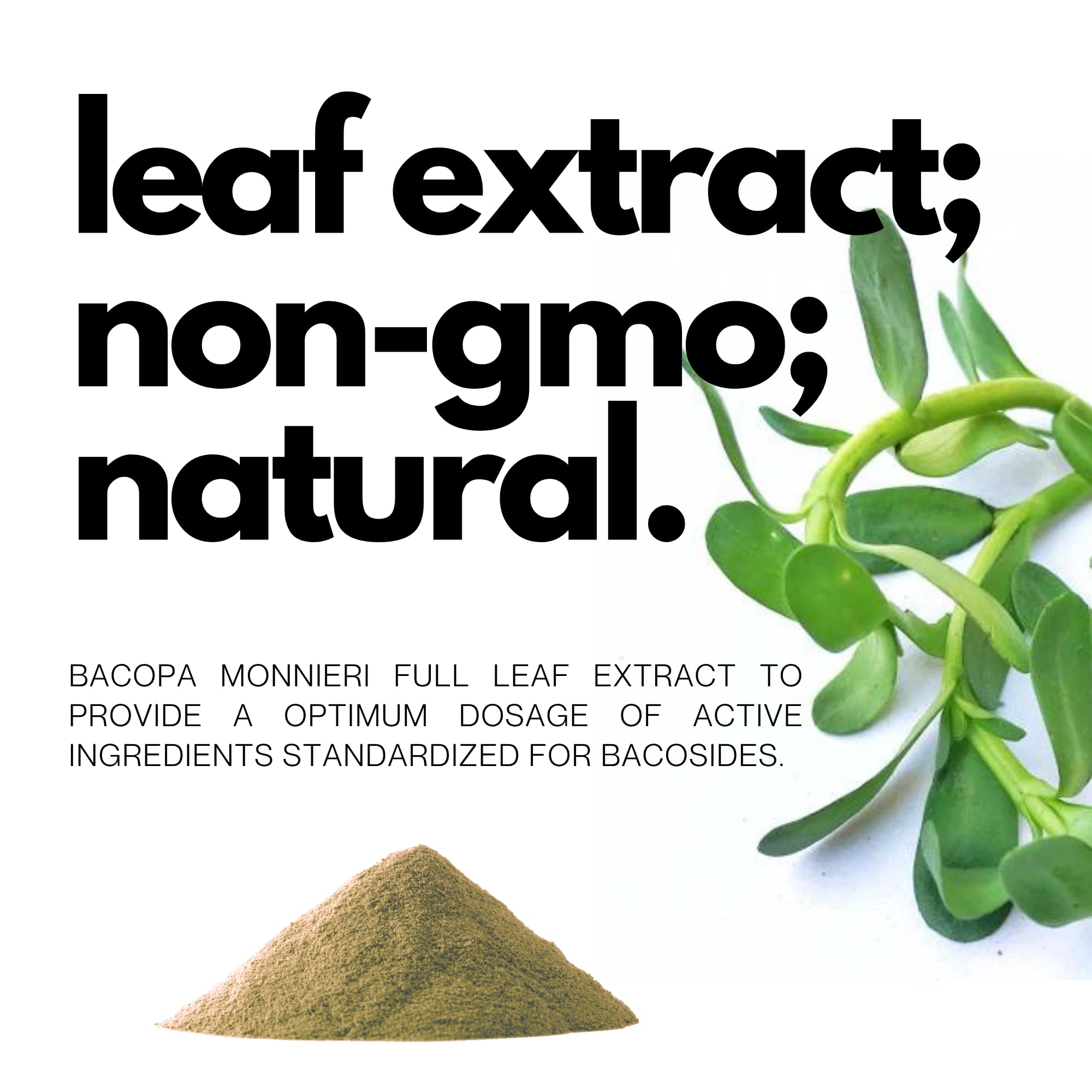 enhance memory with bacopa monnieri