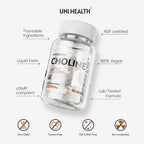 enhance memory with choline 500 mg