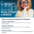 Enhance memory with Citicoline capsules