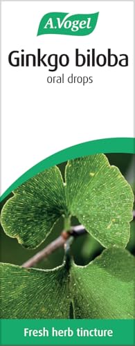 enhance memory with ginkgo biloba