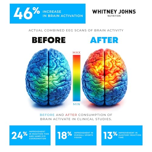 enhance memory with ginkgo biloba