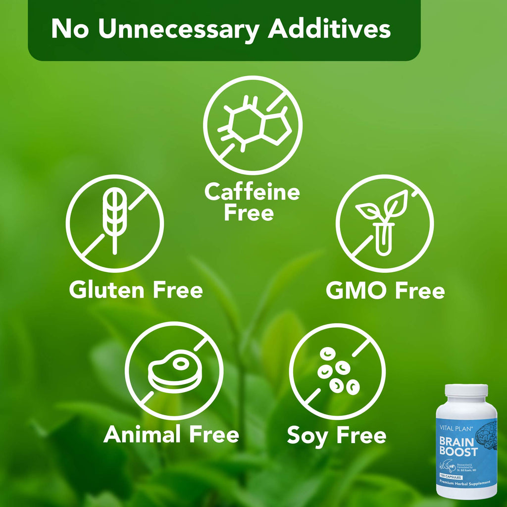 enhance memory with ginkgo biloba