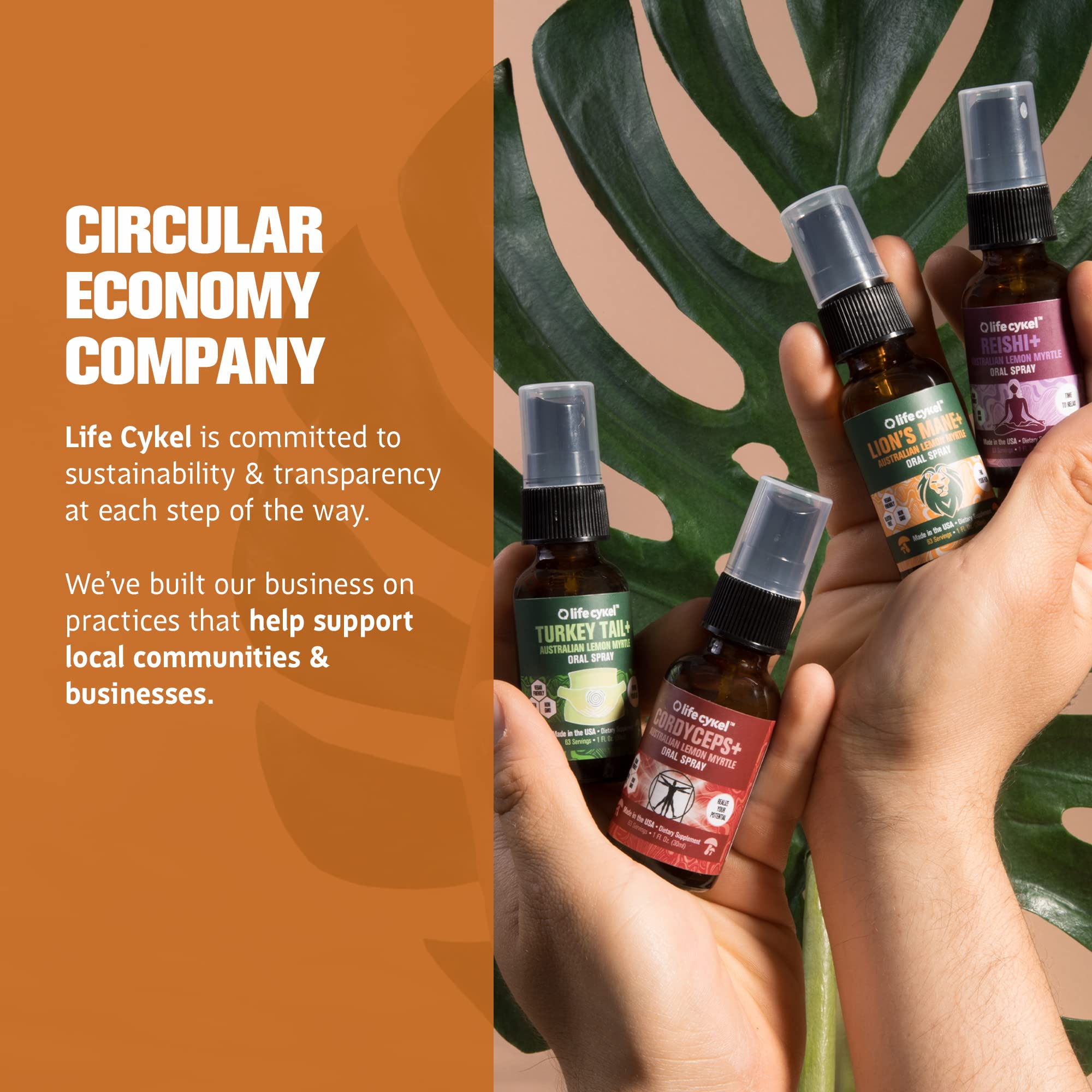 enhance memory with herbal support