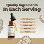 enhance memory with lion's mane extract