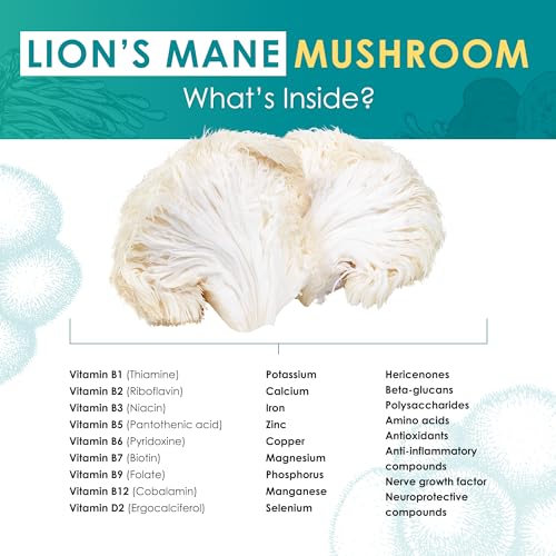 Enhance memory with Lion's Mane extract
