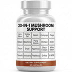 enhance memory with lion's mane