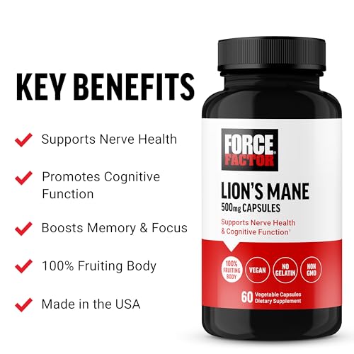 Enhance memory with Lion's Mane