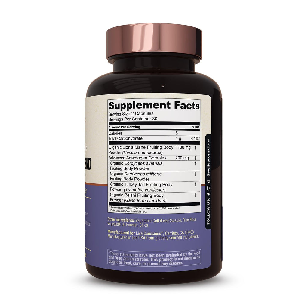 enhance memory with lion's mane