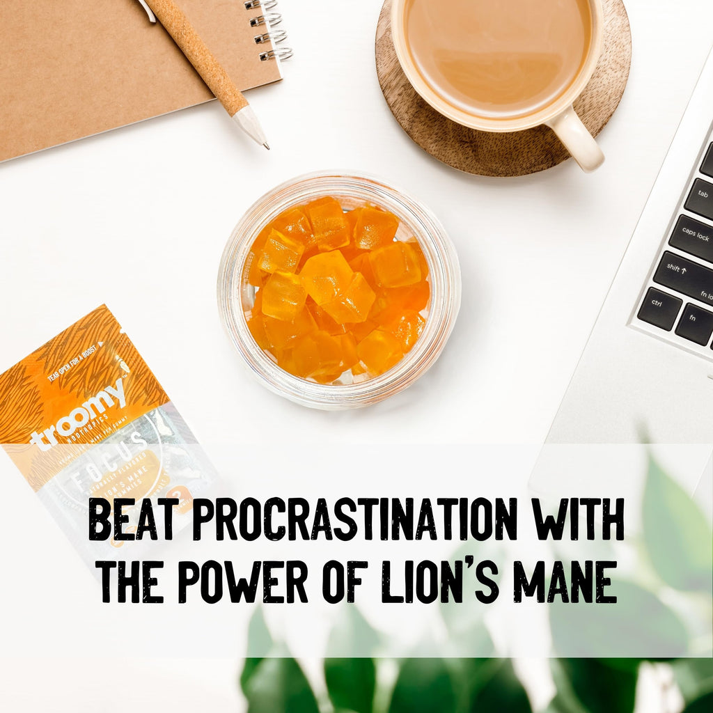 enhance memory with Lion's Mane