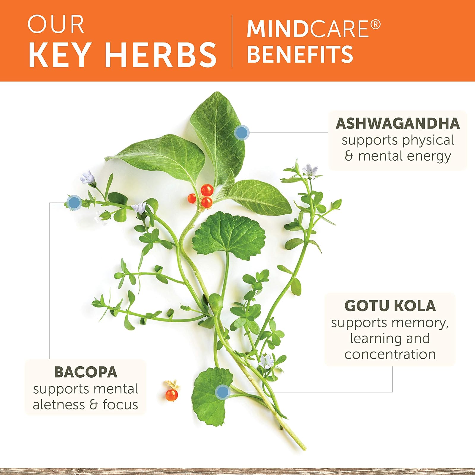 enhance memory with MindCare capsules