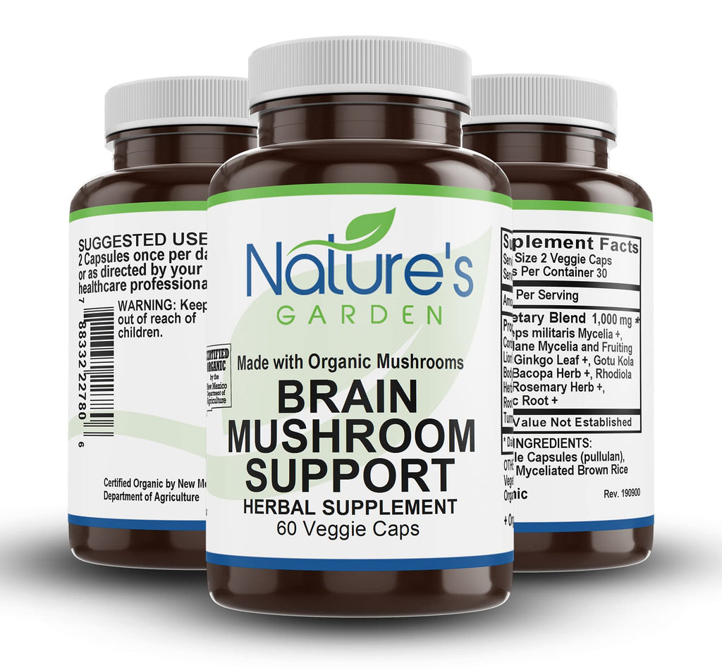enhance memory with mushroom extract