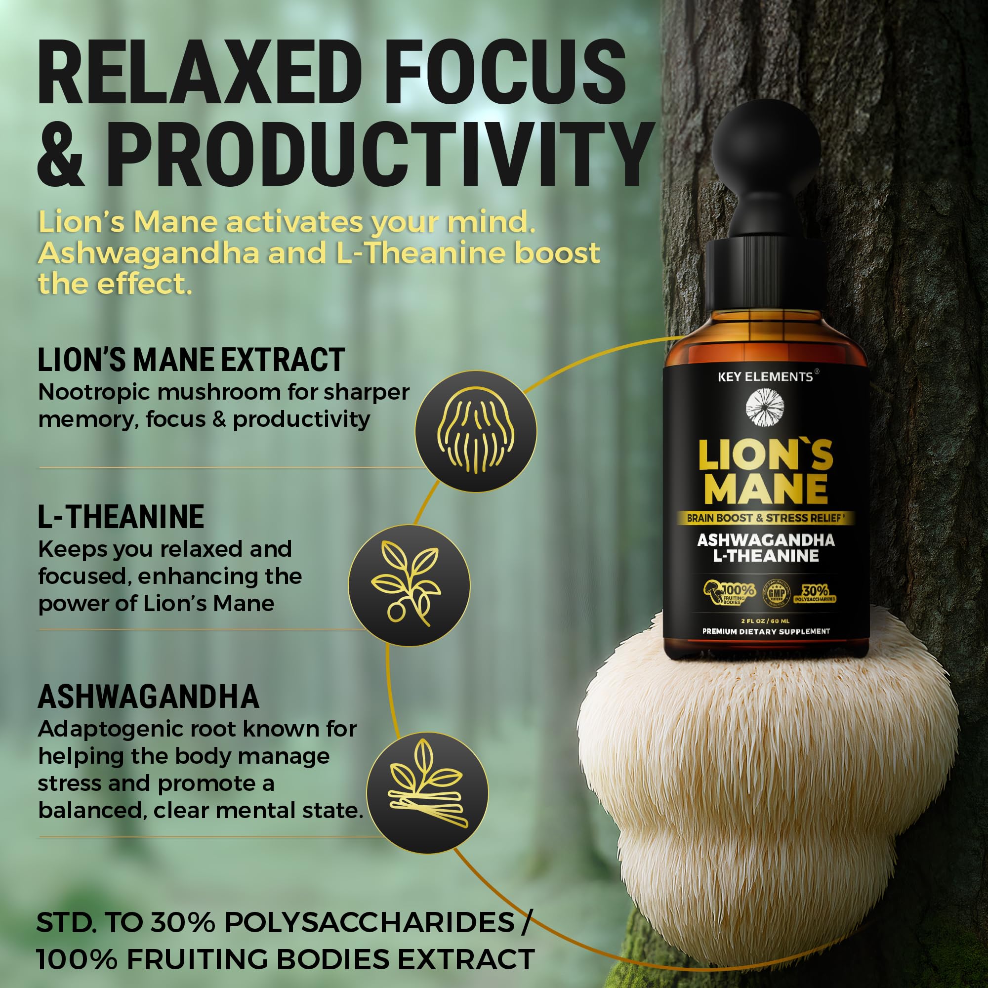 enhance memory with mushroom tincture