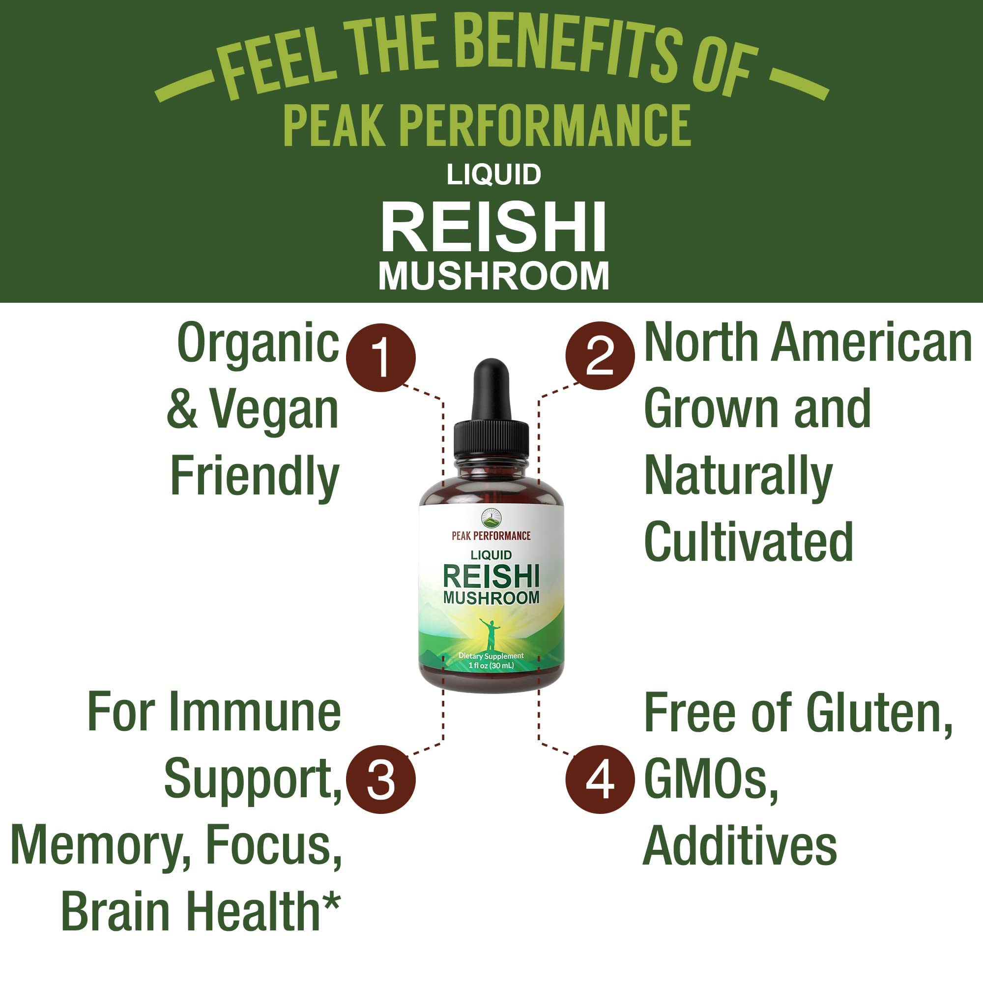 enhance memory with reishi mushrooms