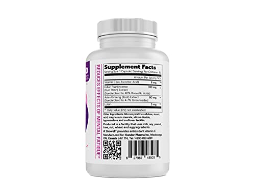 enhance memory with supplements