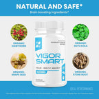 Enhance memory with Vigor Smart Brain