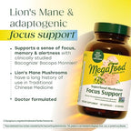 enhance mental clarity lion's mane