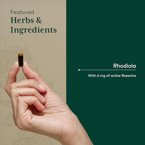 enhance mental clarity rhodiola