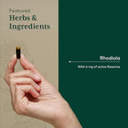 enhance mental clarity rhodiola