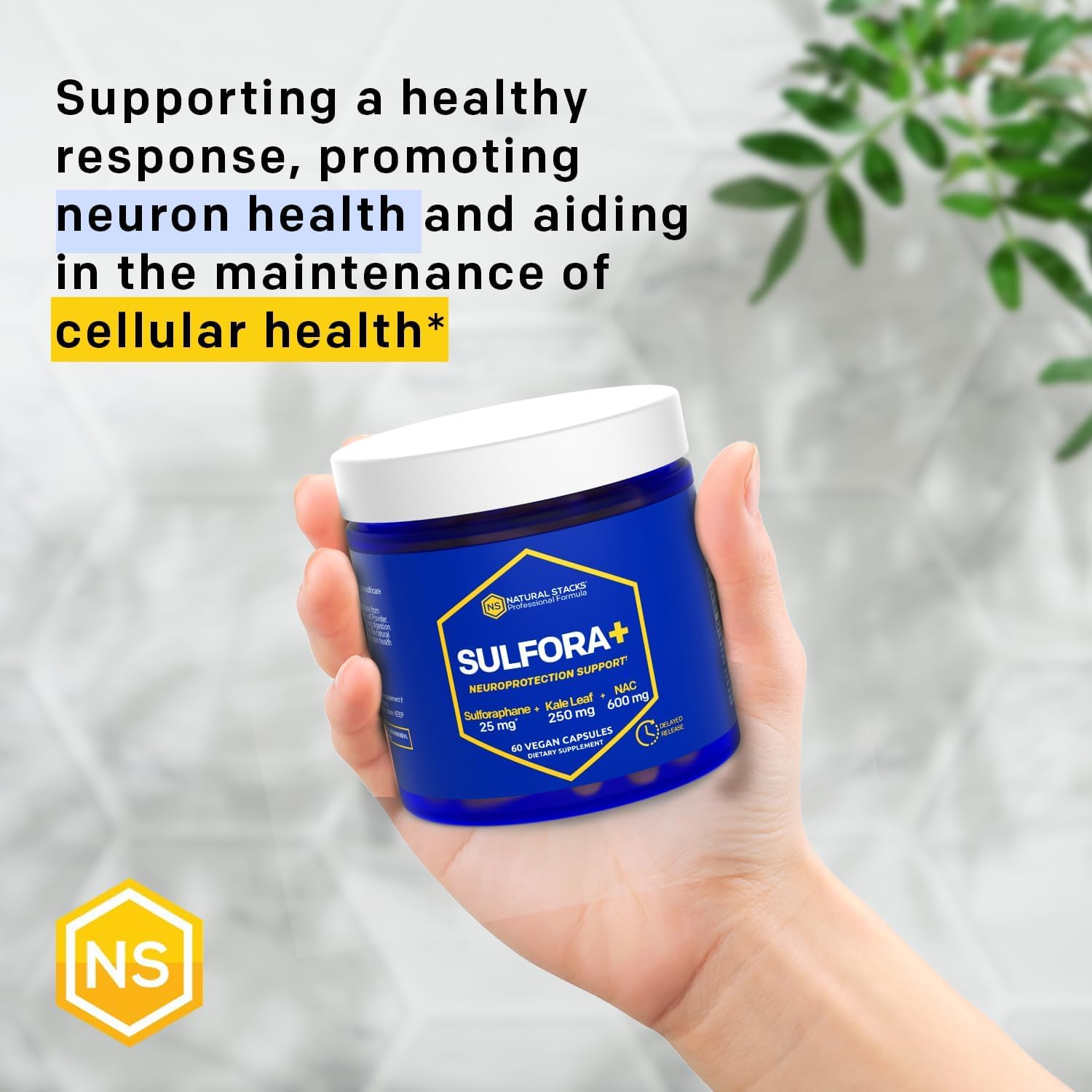 enhance mental clarity with antioxidants