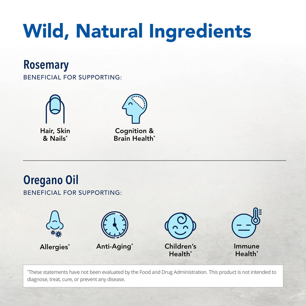 enhance mental clarity with wild rosemary