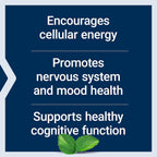 enhance mental focus acetyl l-carnitine