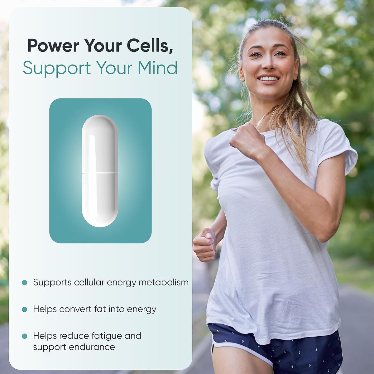 enhance mental focus Acetyl-L-Carnitine