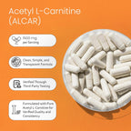 enhance mental focus l-carnitine