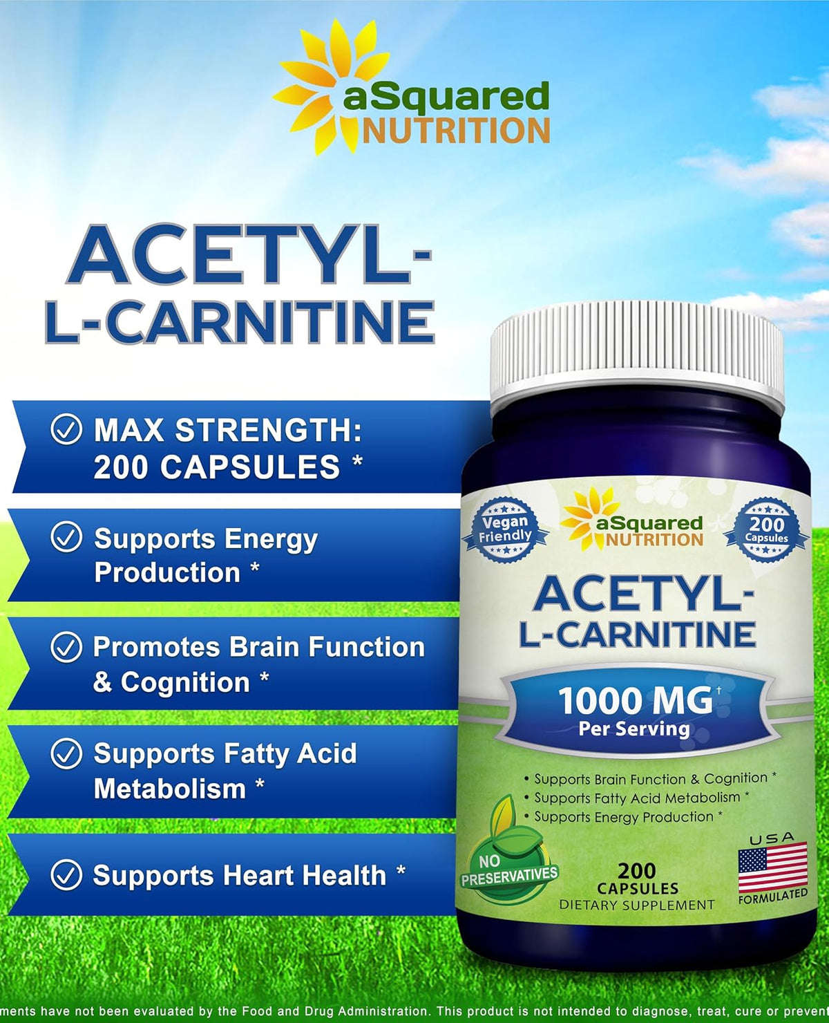 enhance mental focus with acetyl l-carnitine