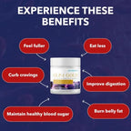 enhance metabolic function supplement