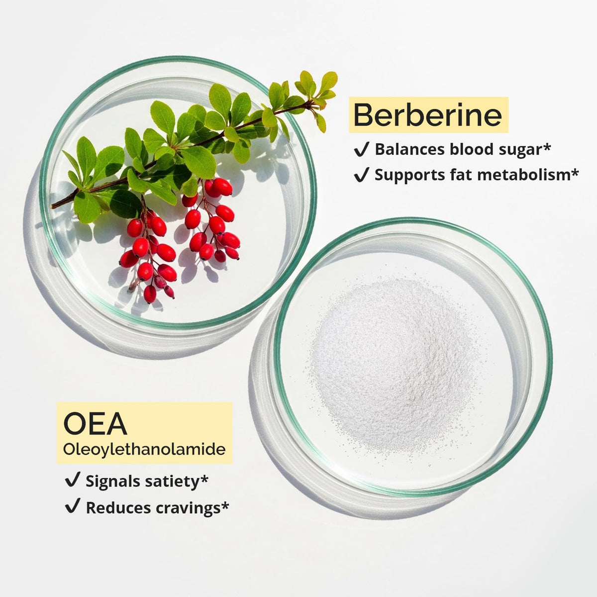 enhance metabolism with BrainMD