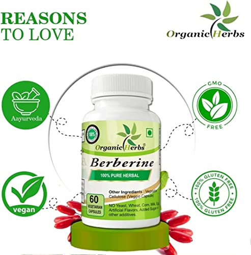 enhance metabolism with organic berberine
