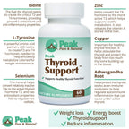 enhance metabolism with thyroid extracts
