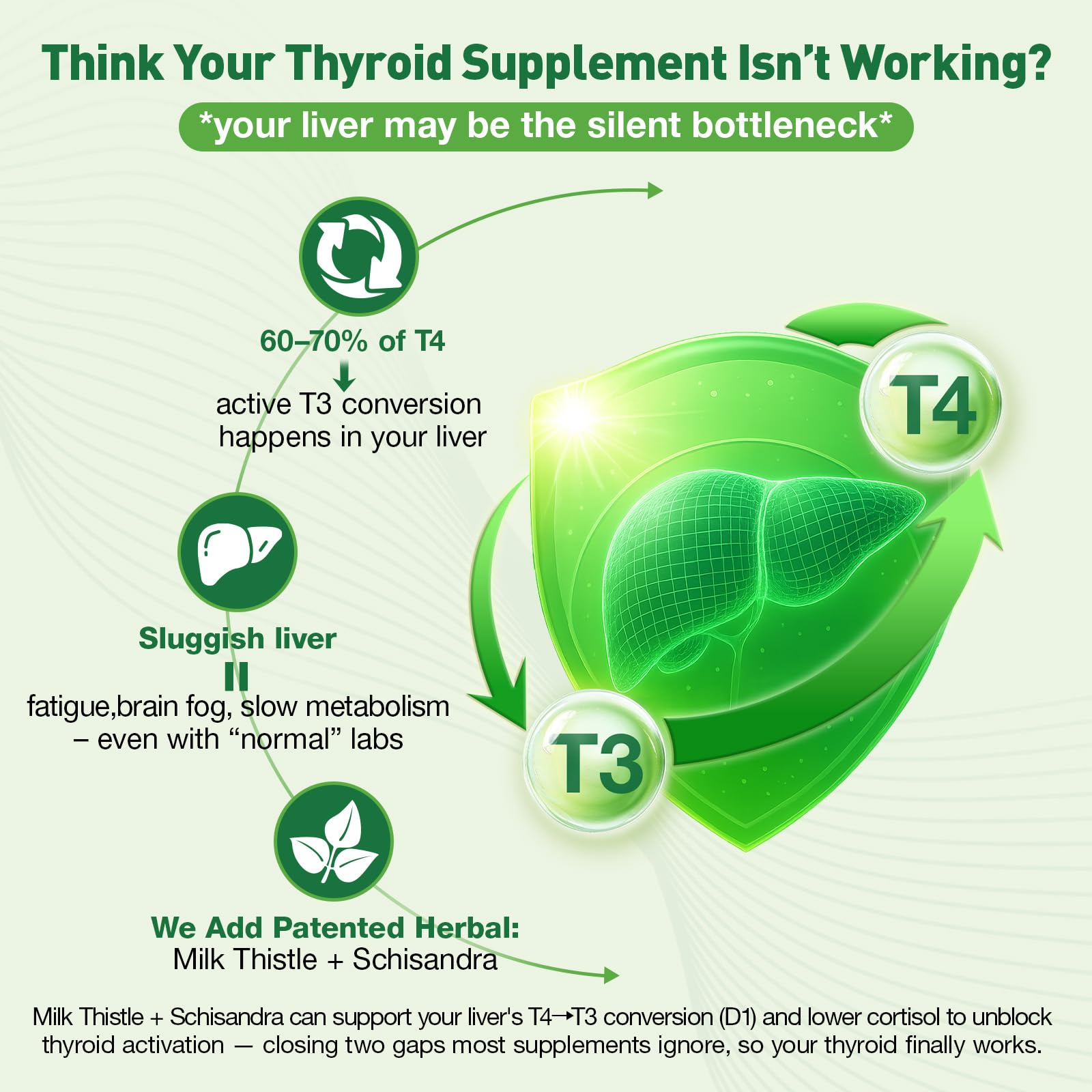 enhance metabolism with thyroid support