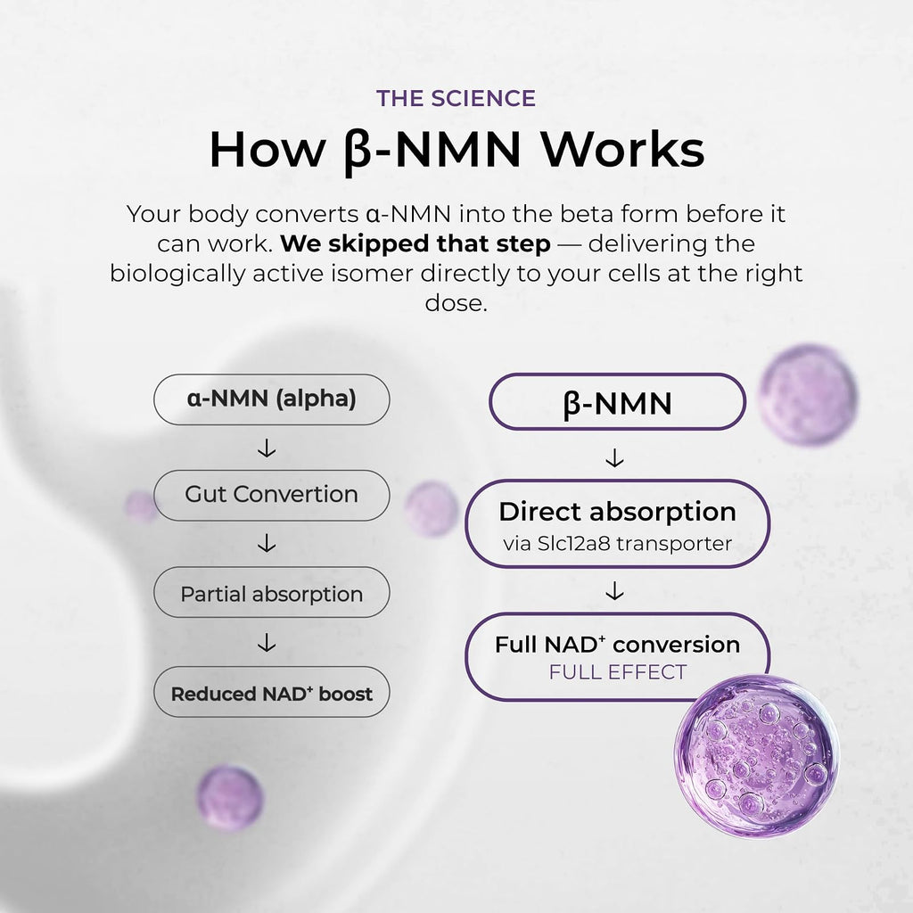 Enhance metabolism with Vitamin B3