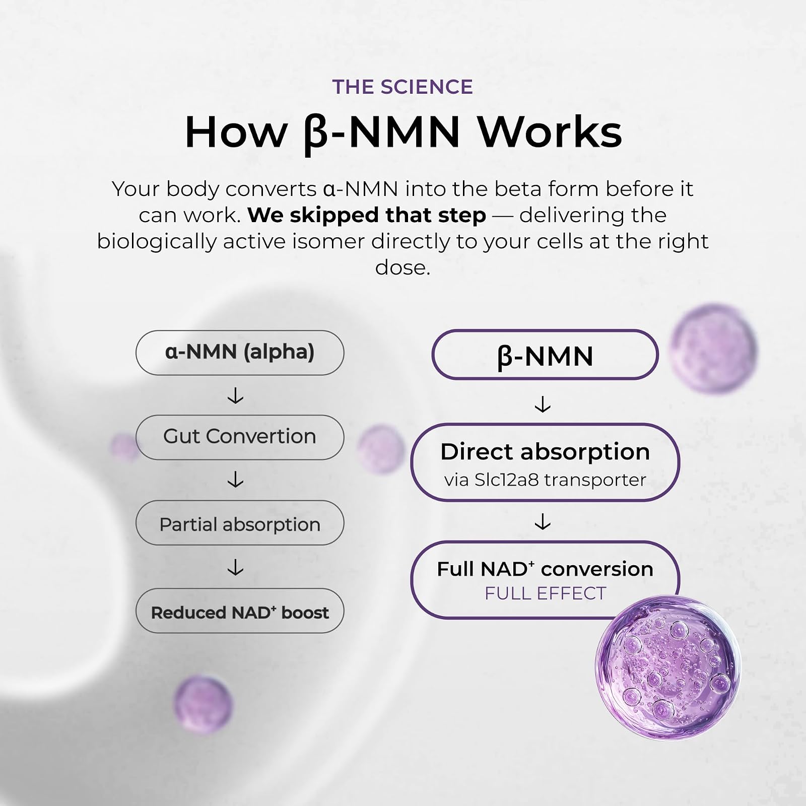 Enhance metabolism with Vitamin B3