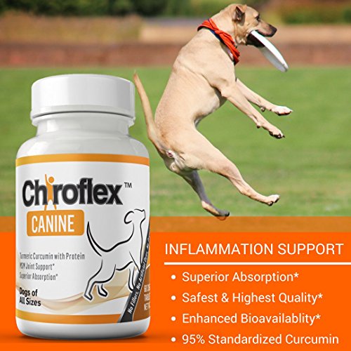 enhance mobility with curcumin tablets