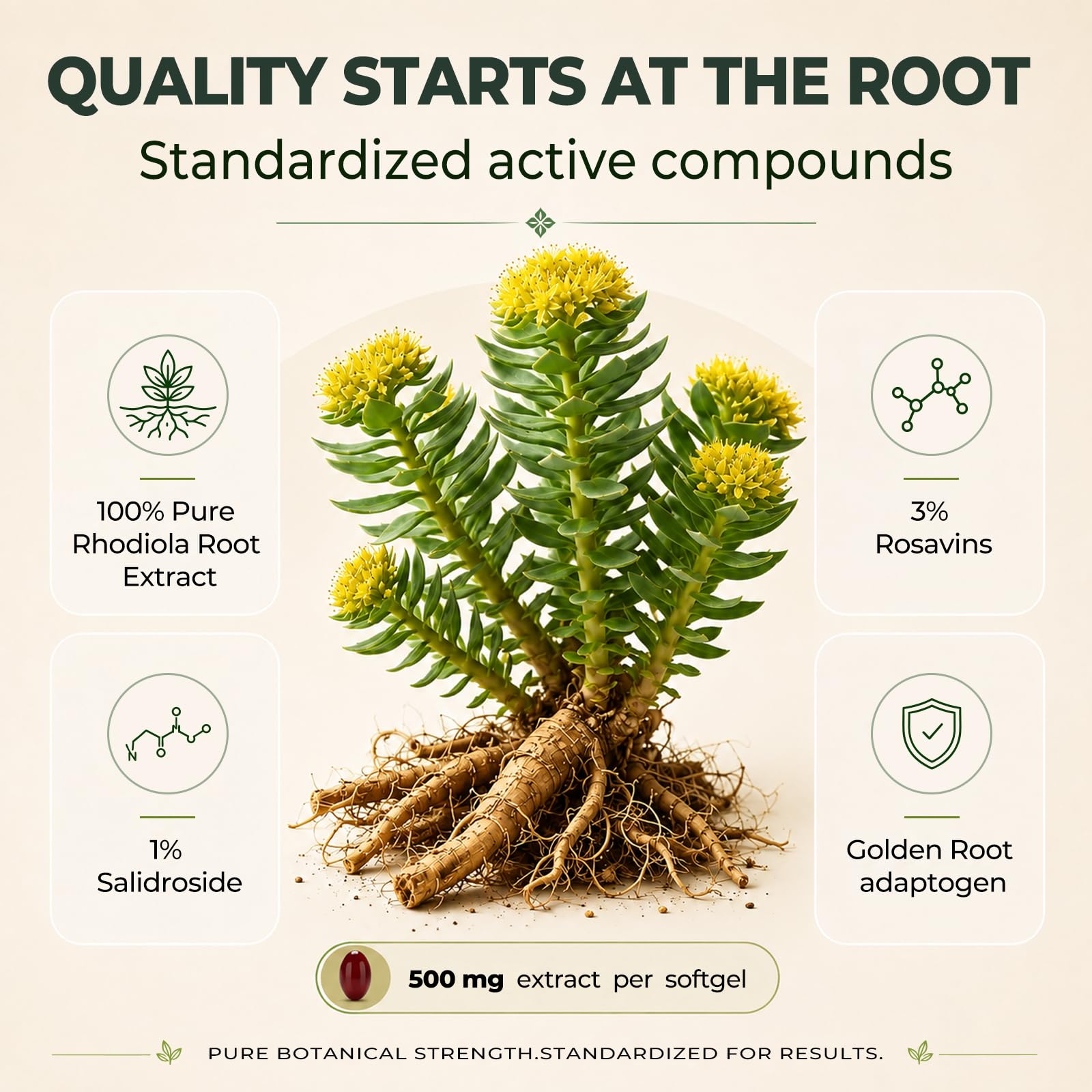 enhance mood Rhodiola Rosea