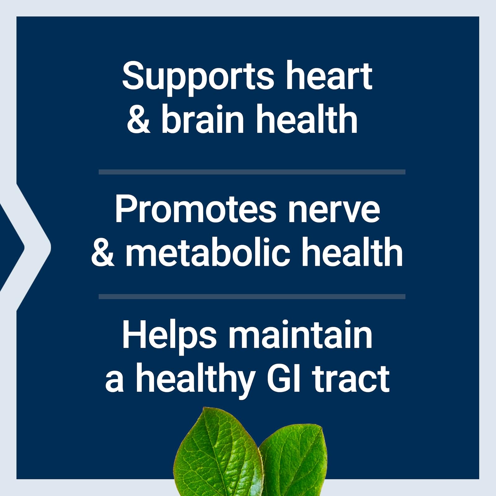 Enhance mood with BioActive Folate