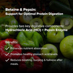 enhance nutrient absorption capsules