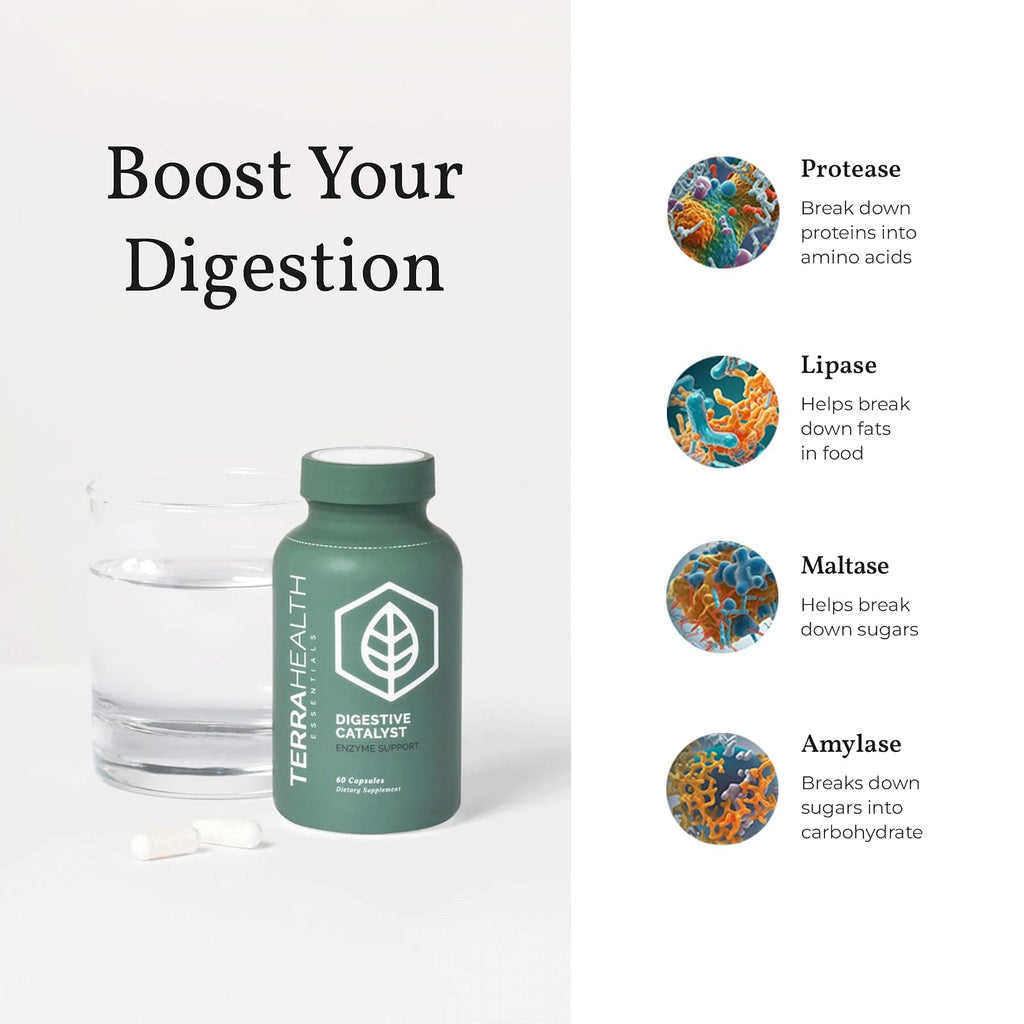 enhance nutrient absorption digestive enzymes